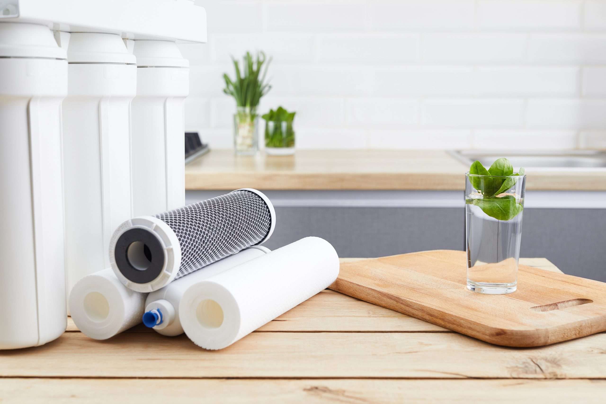 Reverse Osmosis vs. Traditional Filtration: Finding the Right Fit for ...